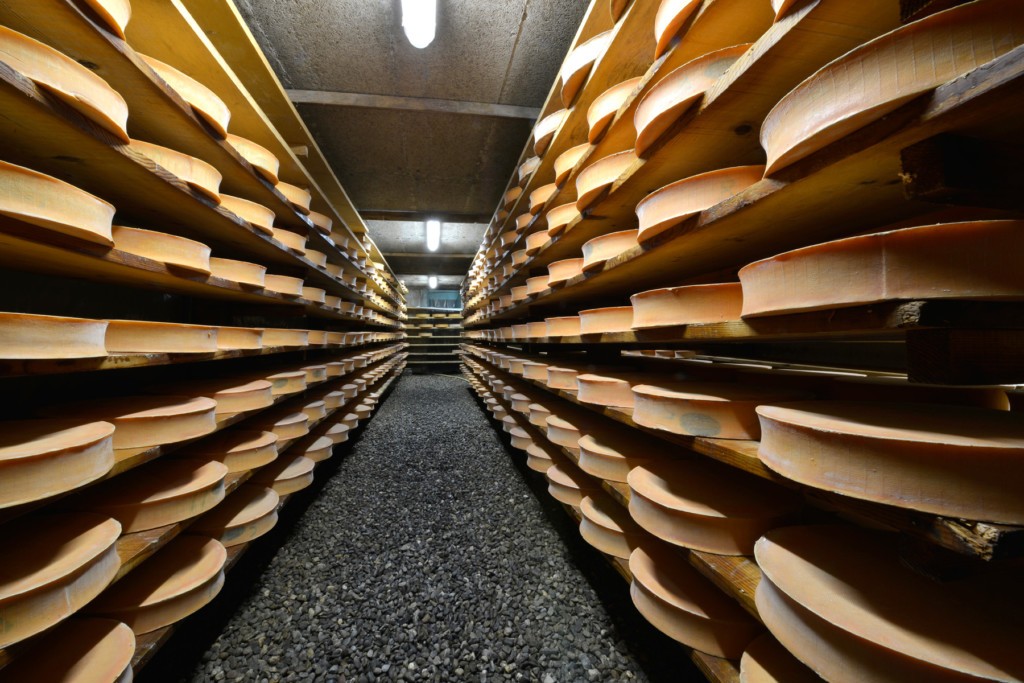 Production du fromage Abondance